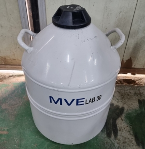 바이오 전문점 컨비젼 MVE LAB 30 초저온 액체 질소통 30L (SR12)