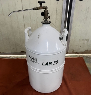바이오 전문점 컨비젼 MVE LAB 50 액체질소통 50리터 (ZG50)